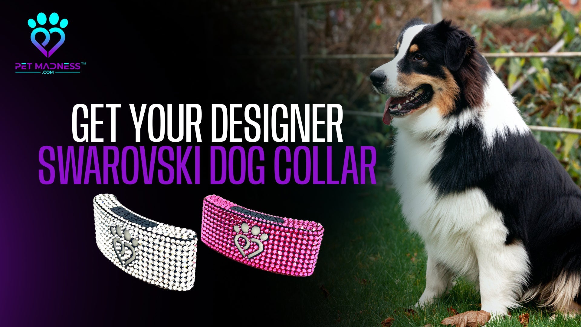 Luxury Designer Pet Products – Style, Innovation & Peace of Mind! – Pet ...